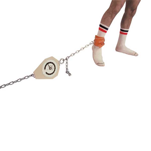 Baseline back, leg, chest dynamometer muscle Tester - Walmart.com