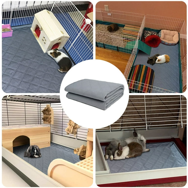 Guinea Pig Living: What's The Ideal Cage Size For Your Cute, 47% OFF