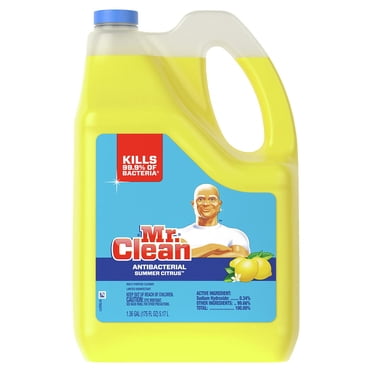 Mr. Clean 443865 Magic Reach All in One Bathroom Cleaning Tool Starter ...