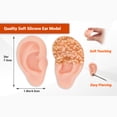 Realistic Silicone Ear Models For Piercer Training And Makeup Practice ...