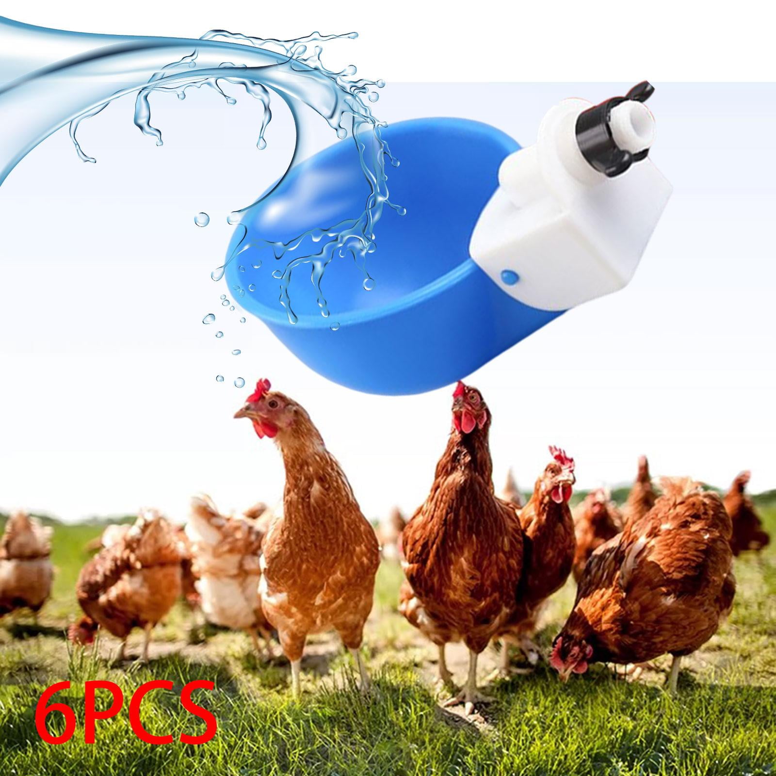 Self Watering System For Chickens