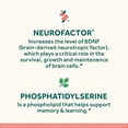 Brain Supplement for Memory & Focus with Phosphatidylserine ...