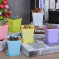 ETHZZLE 24Pcs Plastic Square Nursery Pot with Store Plants for Kitchen ...