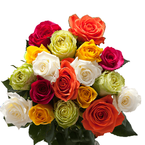 75 Stems Of Assorted Roses Beautiful Fresh Cut Flowers Express