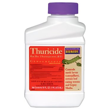 Bonide Organic Pyrethrin Garden Insecticide Spray for Trees, Bugs ...