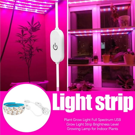Plant Grow Light Full Spectrum USB indoor plants full spectrum Grow ...
