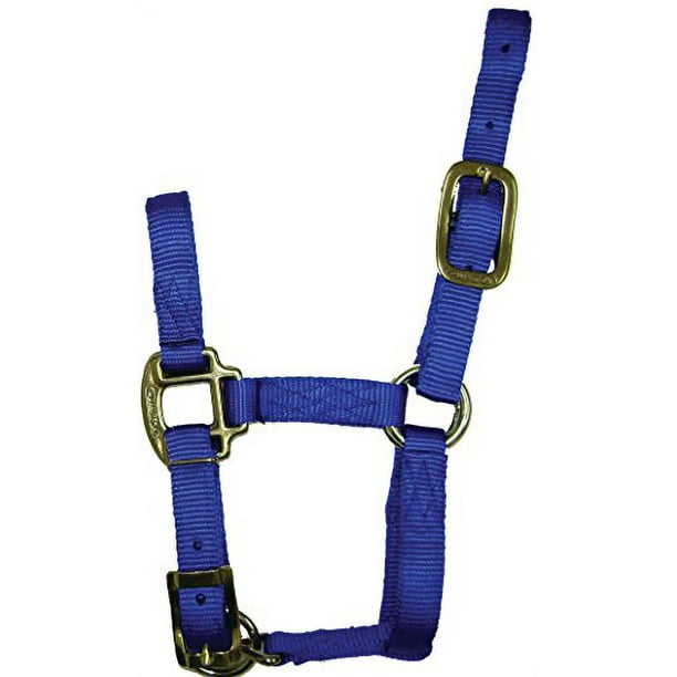 Hamilton 3/4-Inch Adjustable Quality Horse Halter, Pony or Average ...