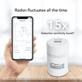 Ecosense RD200W RadonEye, Home Radon Detector, Fast & Reliable Real ...