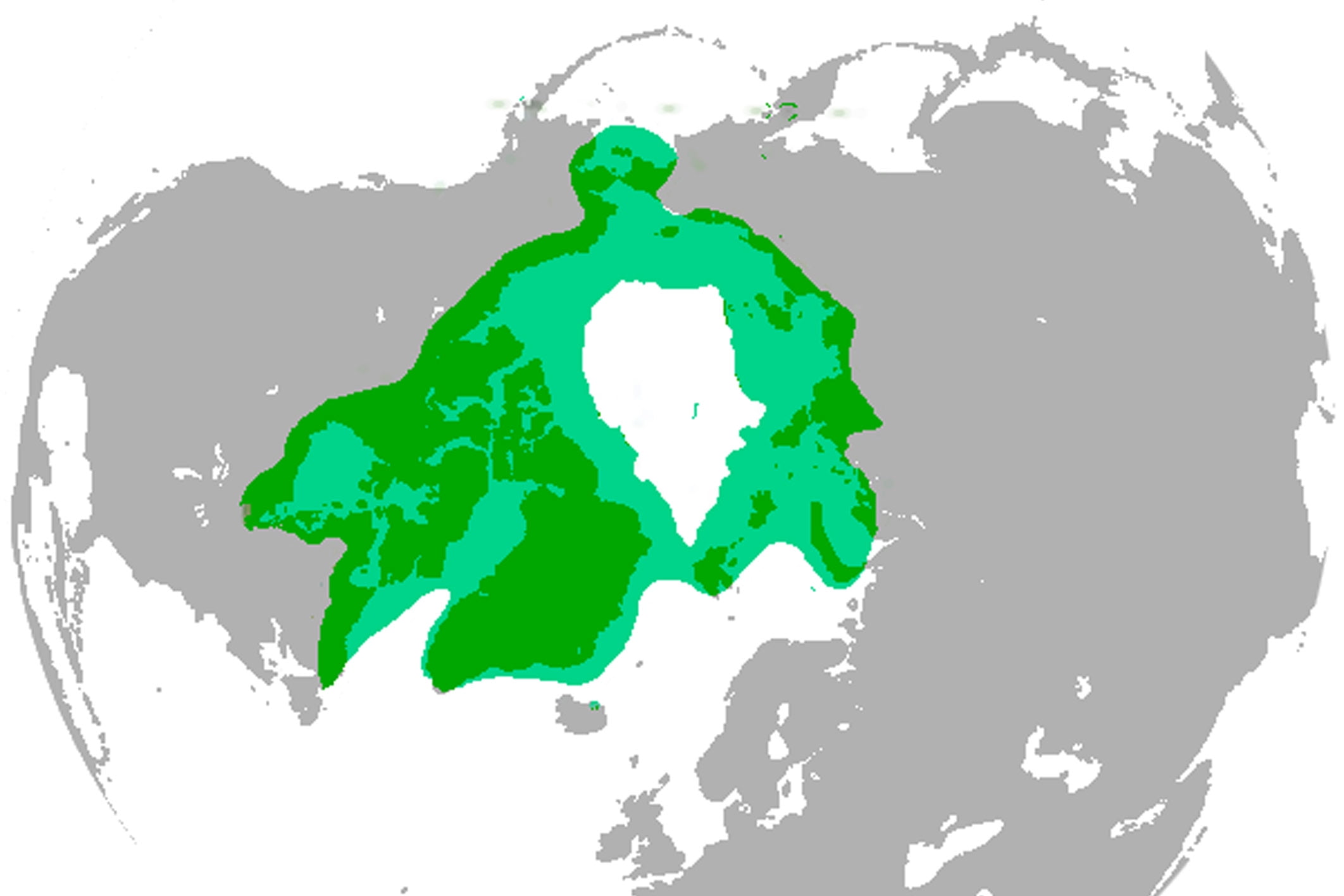 24x36 gallery poster, Polar bear range map - Walmart.com