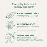 Traditional Medicinals Organic Stress Ease Focus Caffeine-Free Herbal ...