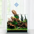 Aqua Worx 2 Gallon Rimless Tank - 7.87 x 7.87 x 7.87 inches Fish Tank ...