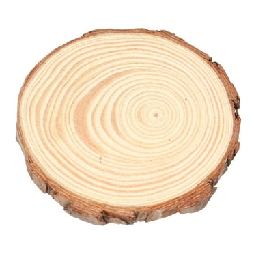 40Pcs 3-4CM Unfinished Natural Round Wood Slices Circles with Tree Bark ...