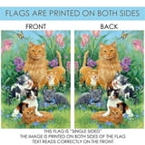 Toland Home Garden Outdoor Small Yard Meadow Cats Flower Spring Flag ...