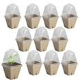 Dienrx Seedling Box, Biodegradable Nursery Pots with Humidity Dome 3.1 ...