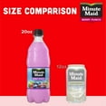 Minute Maid Berry Punch Fruit Juice, 20 fl oz Bottle - Walmart.com