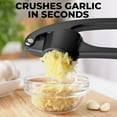 Garlic Press Set - Rust Proof Professional Garlic Mincer Tool - Easy ...