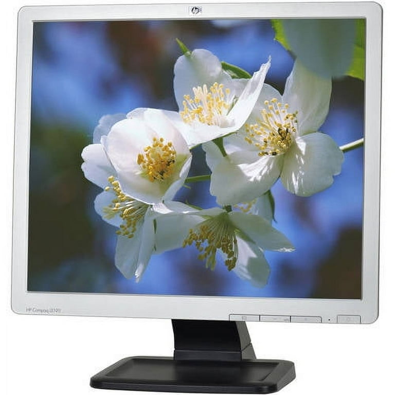 Hp Compaq Monitor