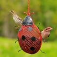 Perky-Pet Ladybug Mesh Wild Bird Feeder - Walmart.com
