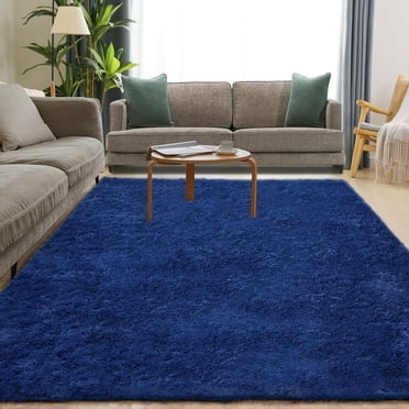 Cshidworld Ultra Soft Rug for Living Room, 5X8 Fluffy Area Rug for ...