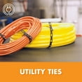 EasyFlex Plastic Locking Tree, Plant and Cable Ties, 1-Inch by 100-Feet ...