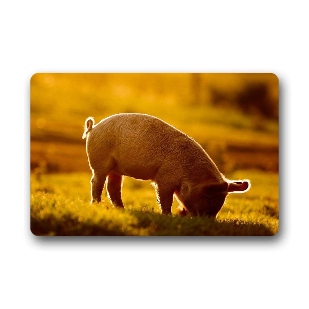 CADecor Pig Doormat Indoor Outdoor Floor Rug 23.6x15.7 inches - Walmart.com