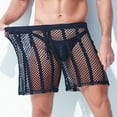 Iroinnid Mens V String Underpants Sexy Mesh Striped Breathable Low