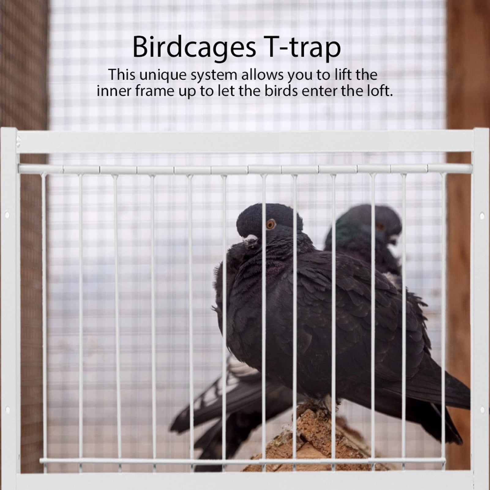Trampa para Jaula de Pájaros de Hierro Alta Resistencia para Paloma Loro Abigail Trampa para ...