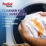 ProSol Works - All Purpose Cleaner Spray 4oz With Empty Cleaning Spray ...