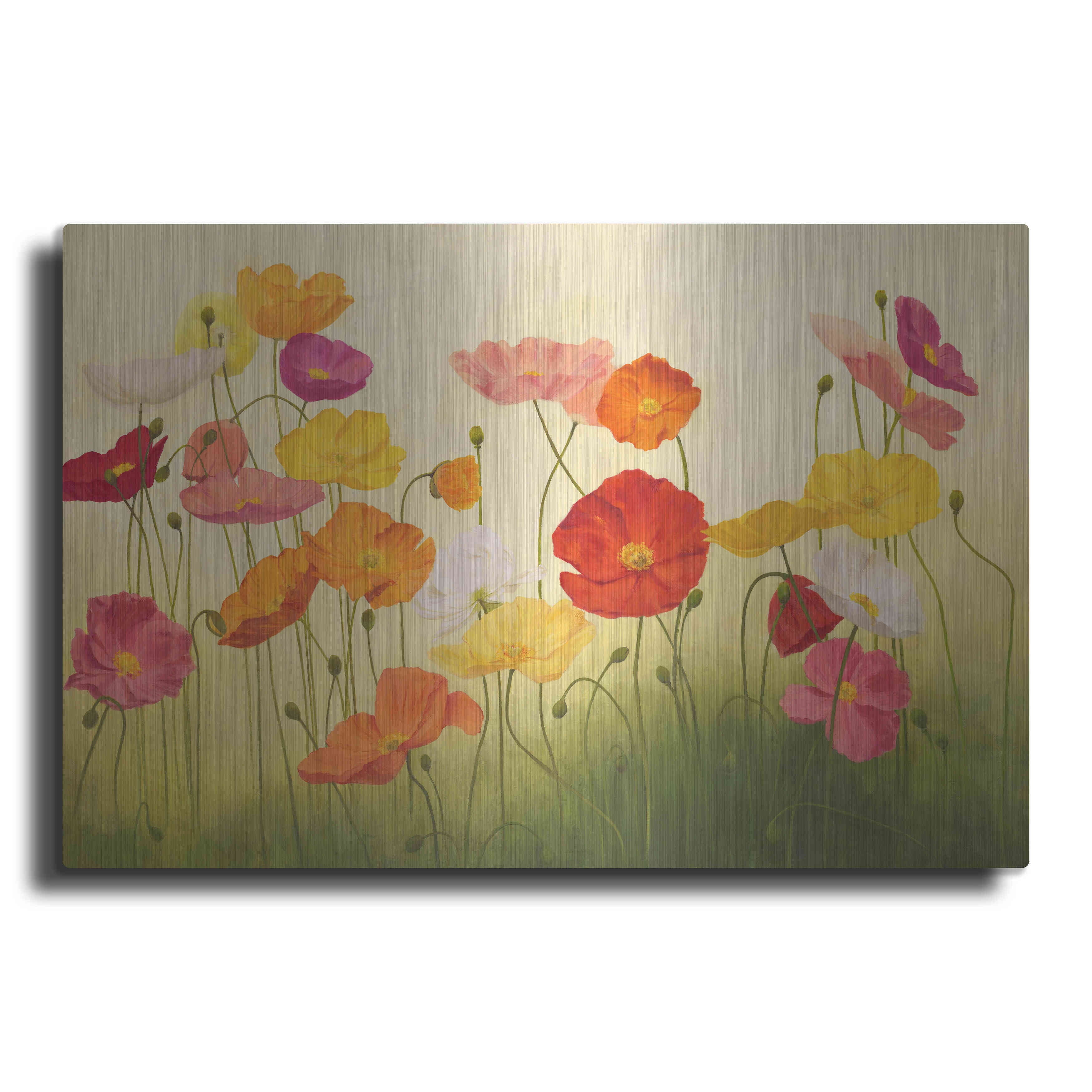 Luxe Metal Art 'Sunlit Poppies' by Janelle Kroner, Metal Wall Art, 36 ...