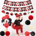 Ladybug Birthday Decorations Happy Birthday Banner Ladybug Cake Topper ...