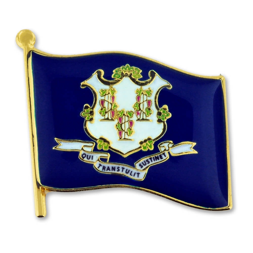 PinMart's Connecticut US State Flag CT Enamel Lapel Pin - Walmart.com