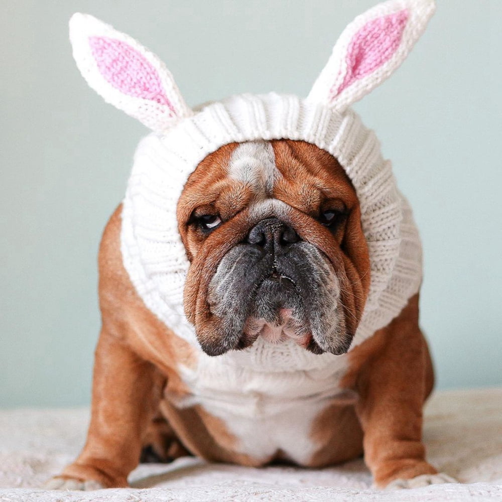 Rabbit Dog Costume - No Flap Ear Wrap Hood for Pets - Walmart.com