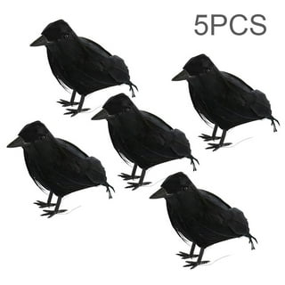Black Crow Props Realistic Raven Feathered Crows Decor - Walmart.com