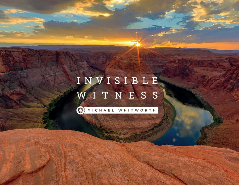 Invisible Witness (Paperback) - Walmart.com - Walmart.com