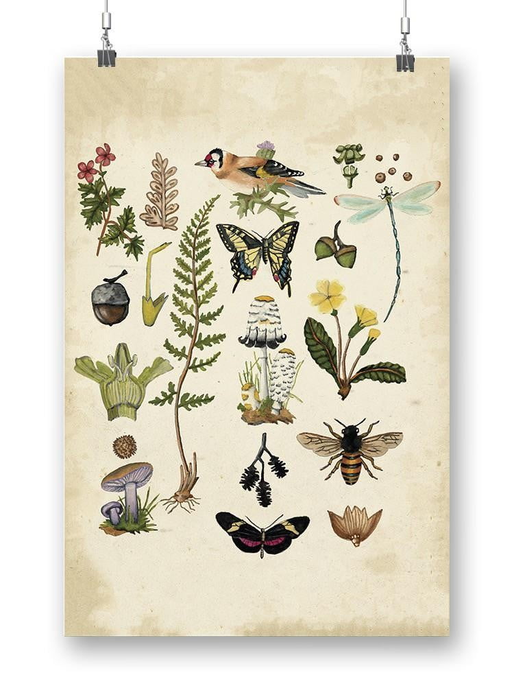 Drawings Of The Forest Poster - Naomi McCavitt Designs, - Walmart.com