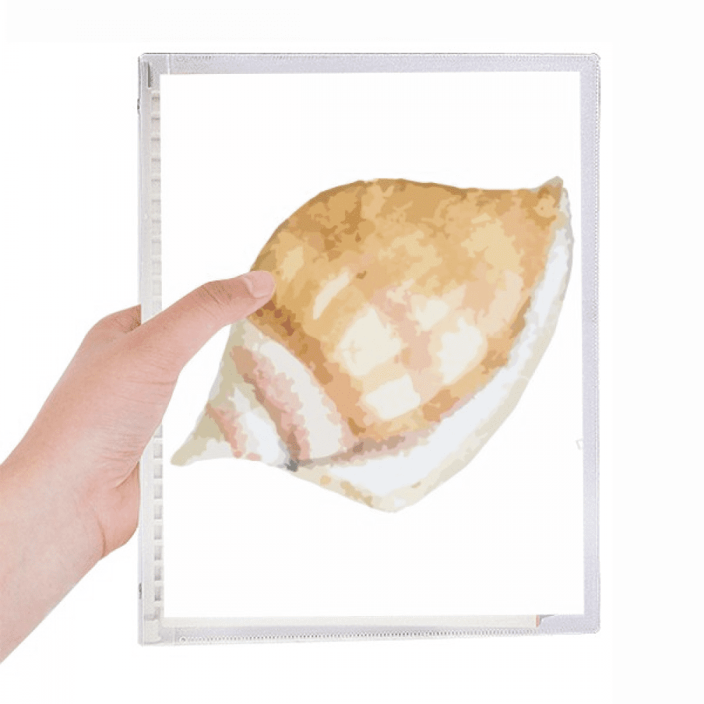 Colorful Snail Marine Life Illustration Notebook Loose Diary Refillable ...