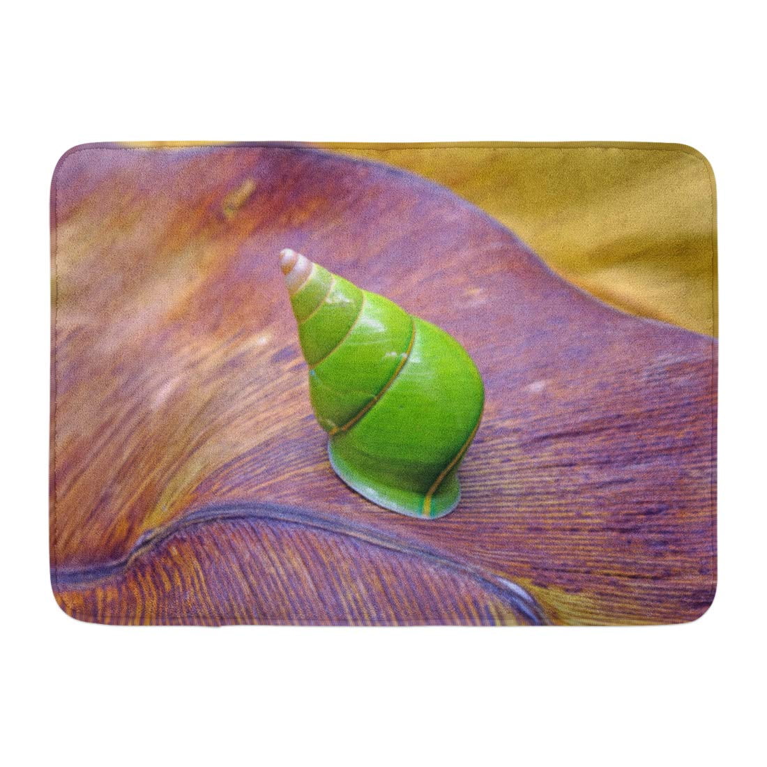 GODPOK Emerald Green Snail Tree Scientific Name Papustyla Pulcherrima ...