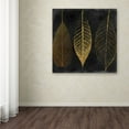 Trademark Fine Art "Fallen Gold I" Canvas Art by Color Bakery - Walmart.com