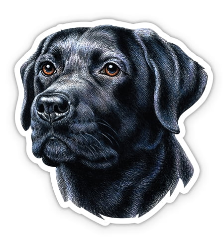 Black Lab - 12" Vinyl Sticker Waterproof Decal - Walmart.com