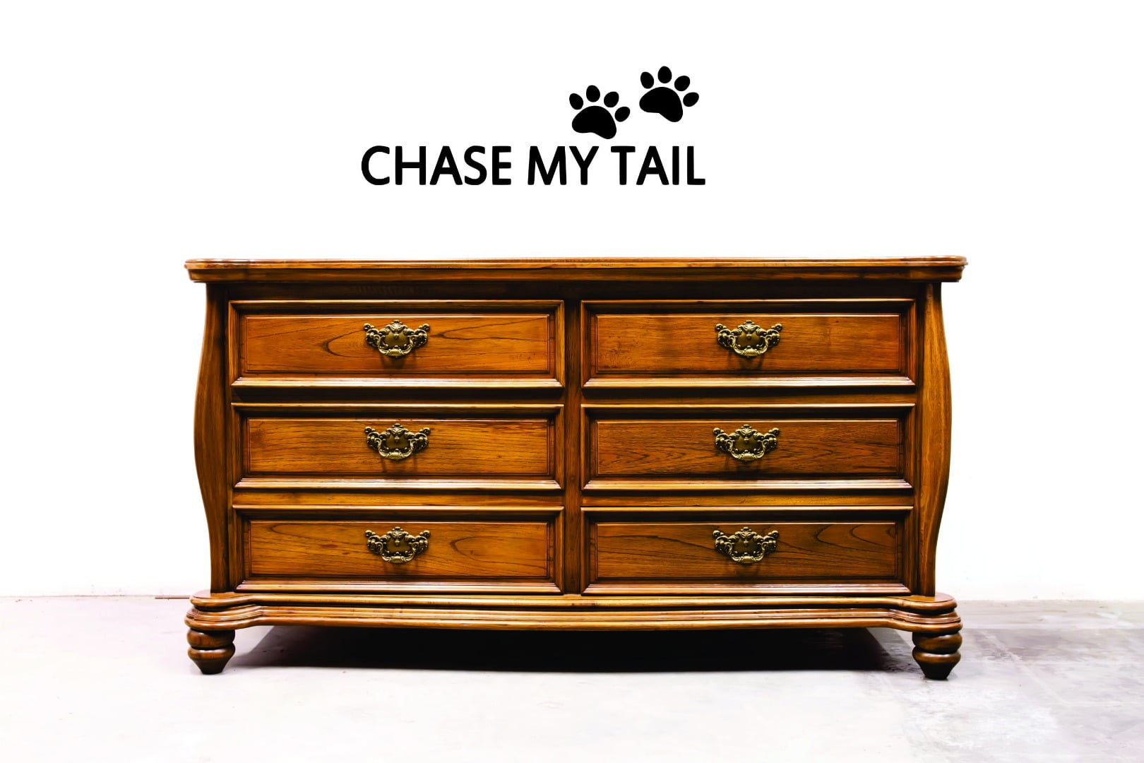 Custom Wall Decal Chase my tail Animal Dog Paw Print Vinyl Wall - 16x40 ...