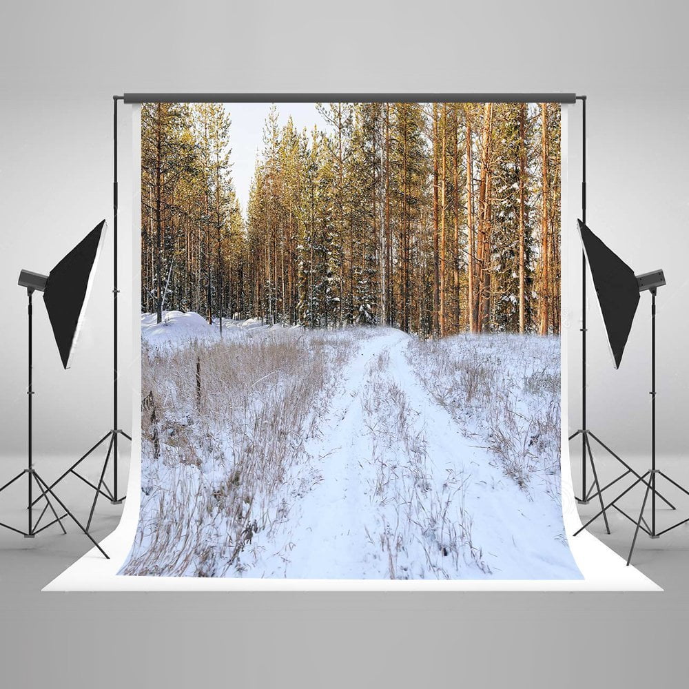 HelloDecor Polyester Fabric 5x7ft Golden Tall Tree Snow White Road ...