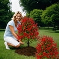 Red Artificial Fern Ground Plug Plant, Outdoor Courtyard Realistic Fake ...