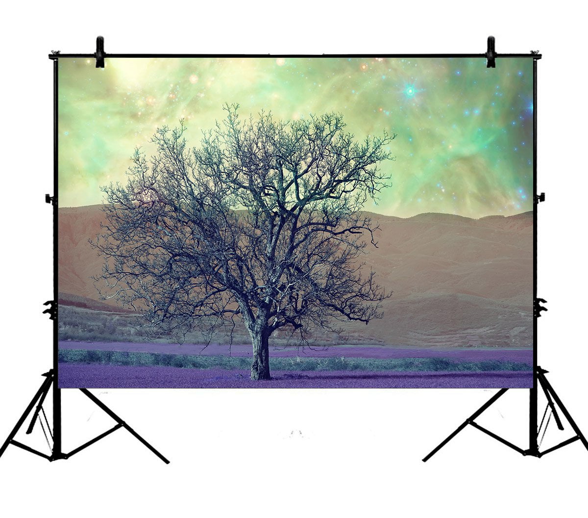 PHFZK 7x5ft Woodland Backdrops, Landscape with Alone Tree over the ...