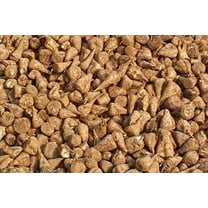 Apache Arrowleaf Clover Seed - 10 Lbs. - Walmart.com