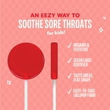 Lolleez Organic Throat Soothing Lollipops for Kids, Variety Pack, 10 ...