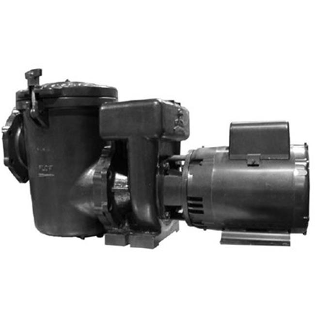 Waterco 19B05001 10 HP Commercial Standard 3 Phase 208-230 & 460V Hydro ...