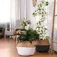 2026 Hot Sale Set of 2 Outdoor 6Ft Round Obelisk Plant Trellises, Anti ...