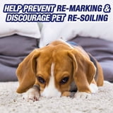 Resolve Urine Destroyer Pet Urine Stain and Odor Remover Spray, 32oz ...
