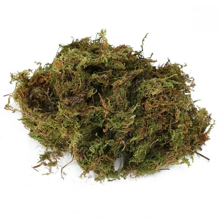 Water Absorption Reptile Moss, Moss For Reptiles, Breathable ...