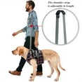 Adjustable Dog Support Harness for Front and Rear Legs Lifting ...